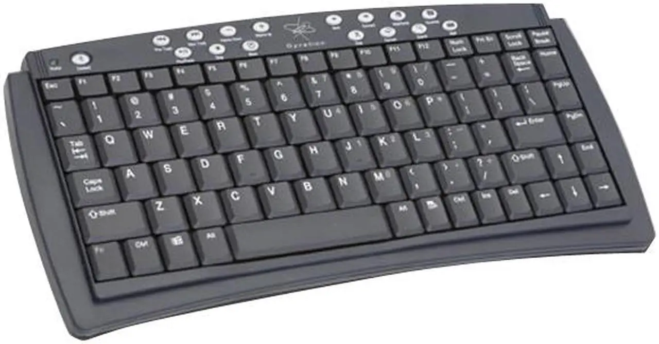 Gyration GO 2.4 GYAM1100CKUS Black RF Wireless 30 ft. Compact KeyBoard ...