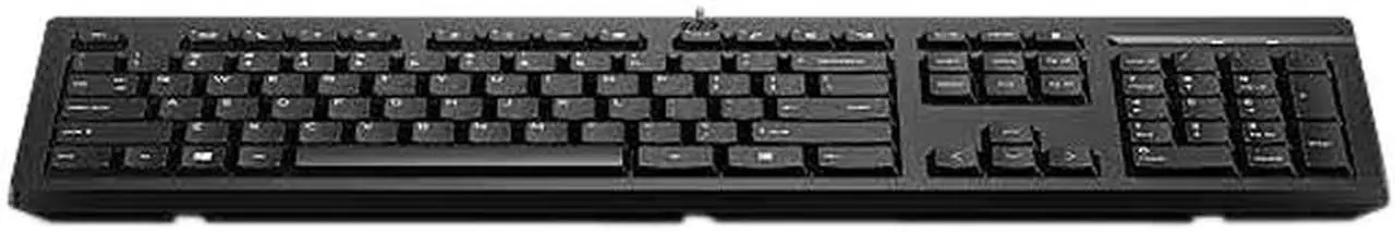 HP 125 266C9AA Black Wired Keyboard - Newegg.com