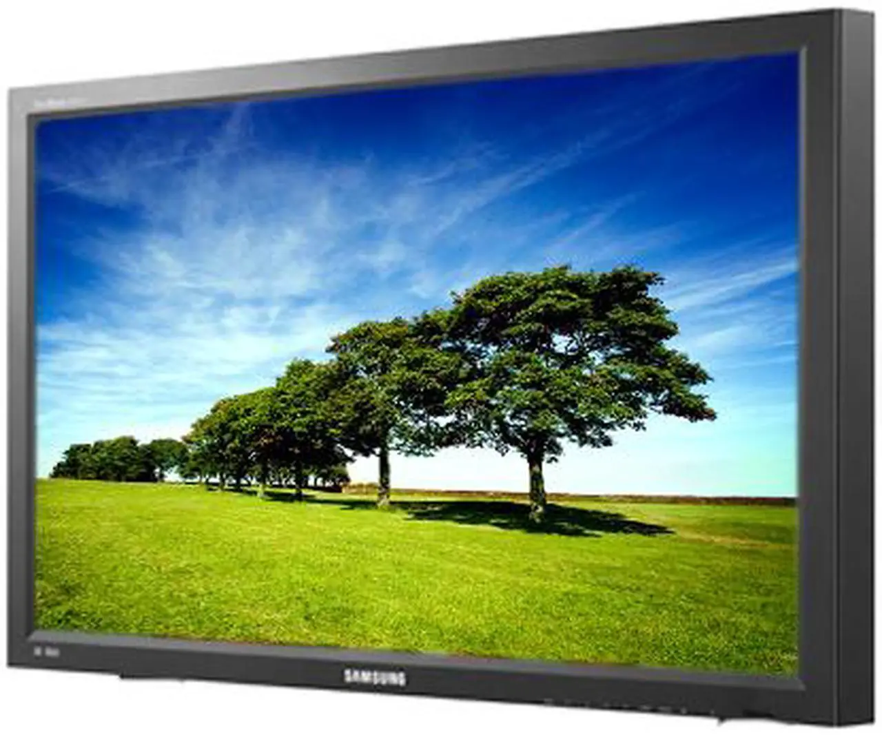 Large Format Monitor - Newegg.com