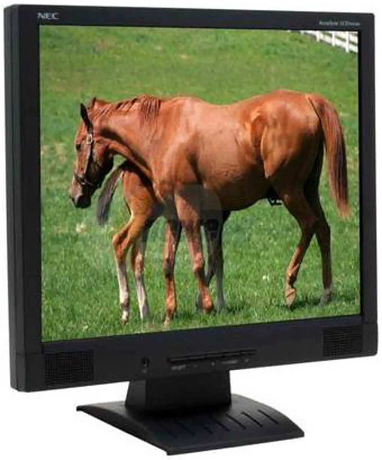 NEC Display Solutions 19" Active Matrix, TFT LCD SXGA LCD Monitor 12 ms ...