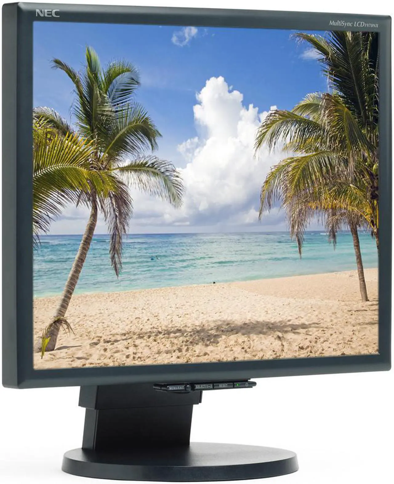 NEC Display Solutions 19" SXGA LCD Monitor 5 ms 1280 x 1024 D-Sub, DVI ...