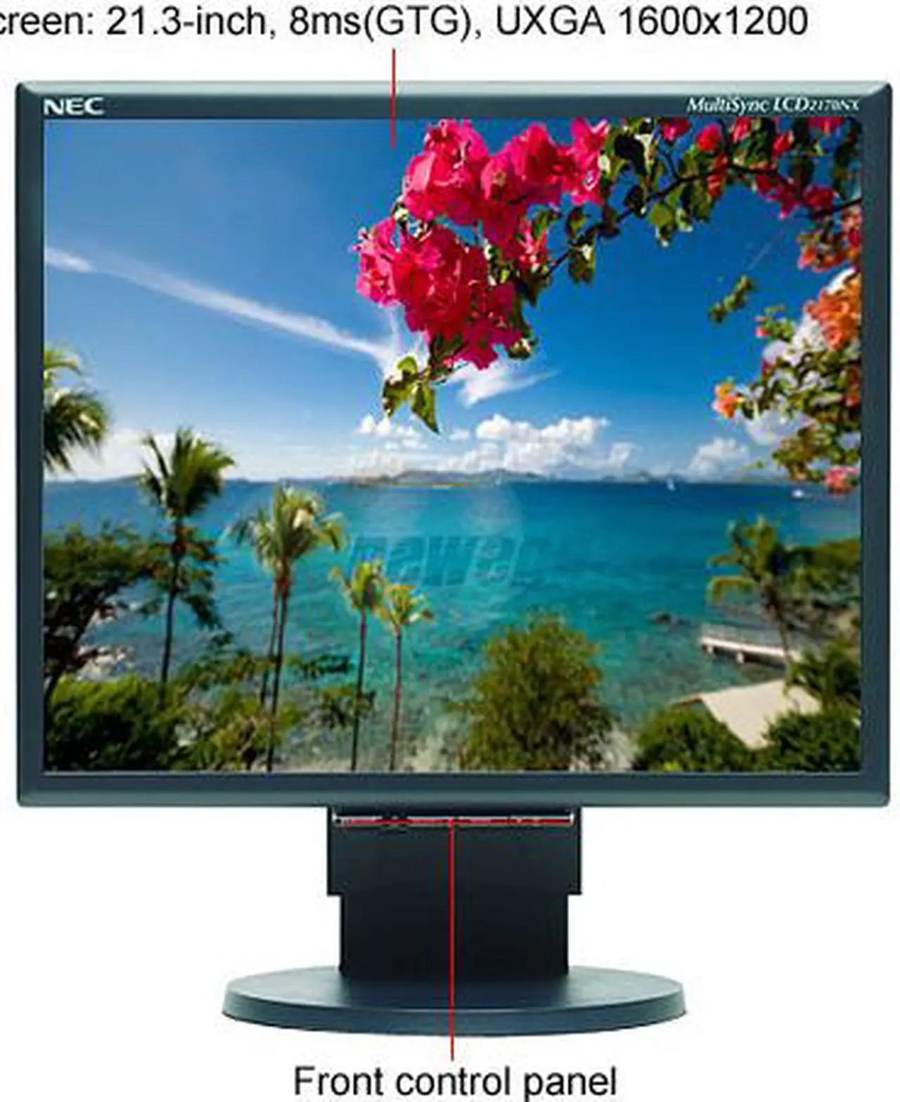 NEC Display Solutions 21.3" UXGA LCD Monitor 8ms(GTG) D-Sub, DVI-D ...