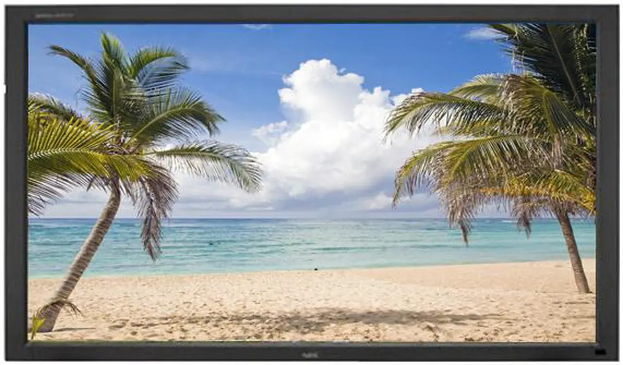 Large Format Monitor - Newegg.ca