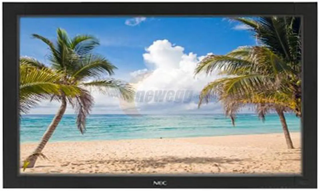 Large Format Monitor w/HDMI - Newegg.com