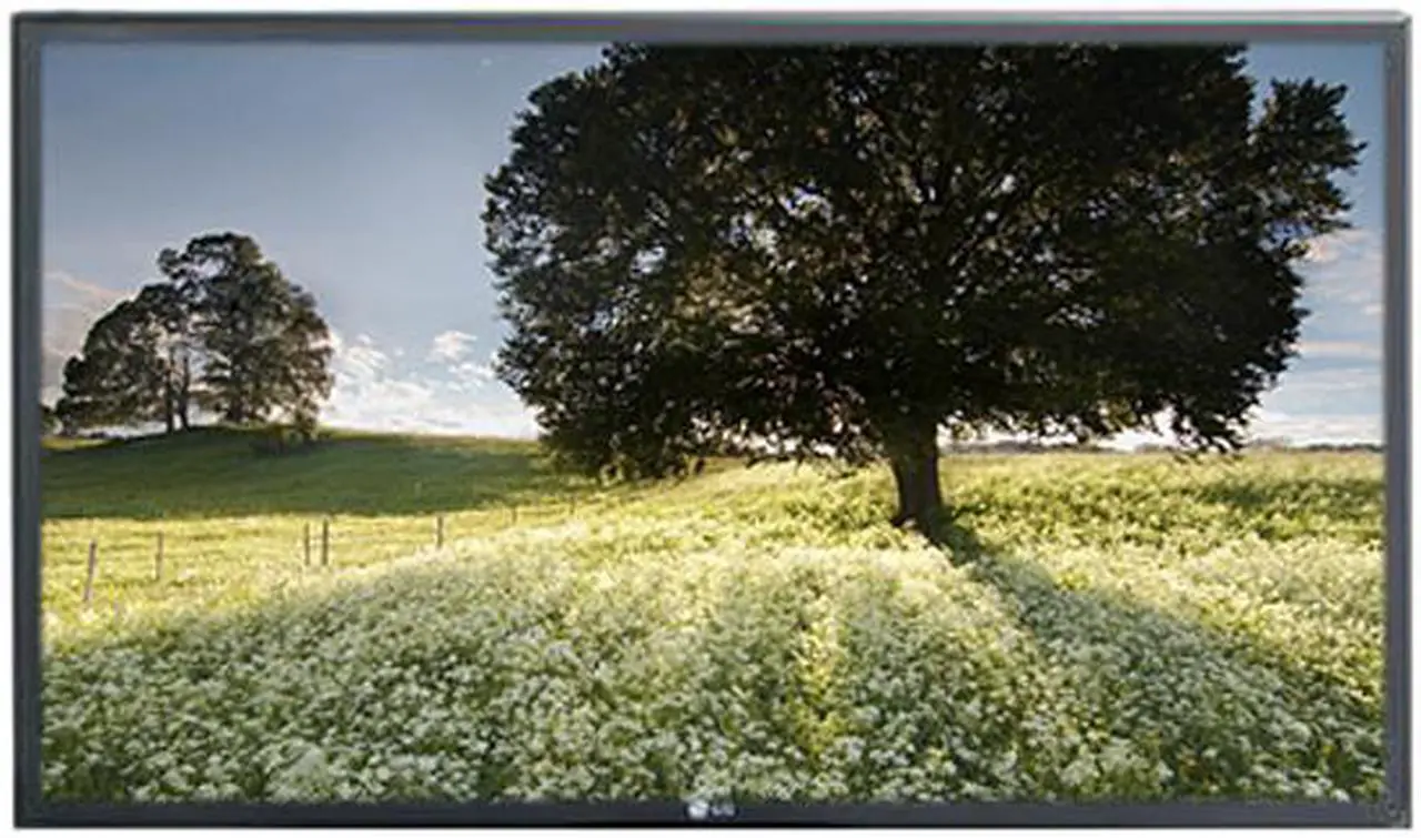 Full HD Monitor Large Format Display - Newegg.com