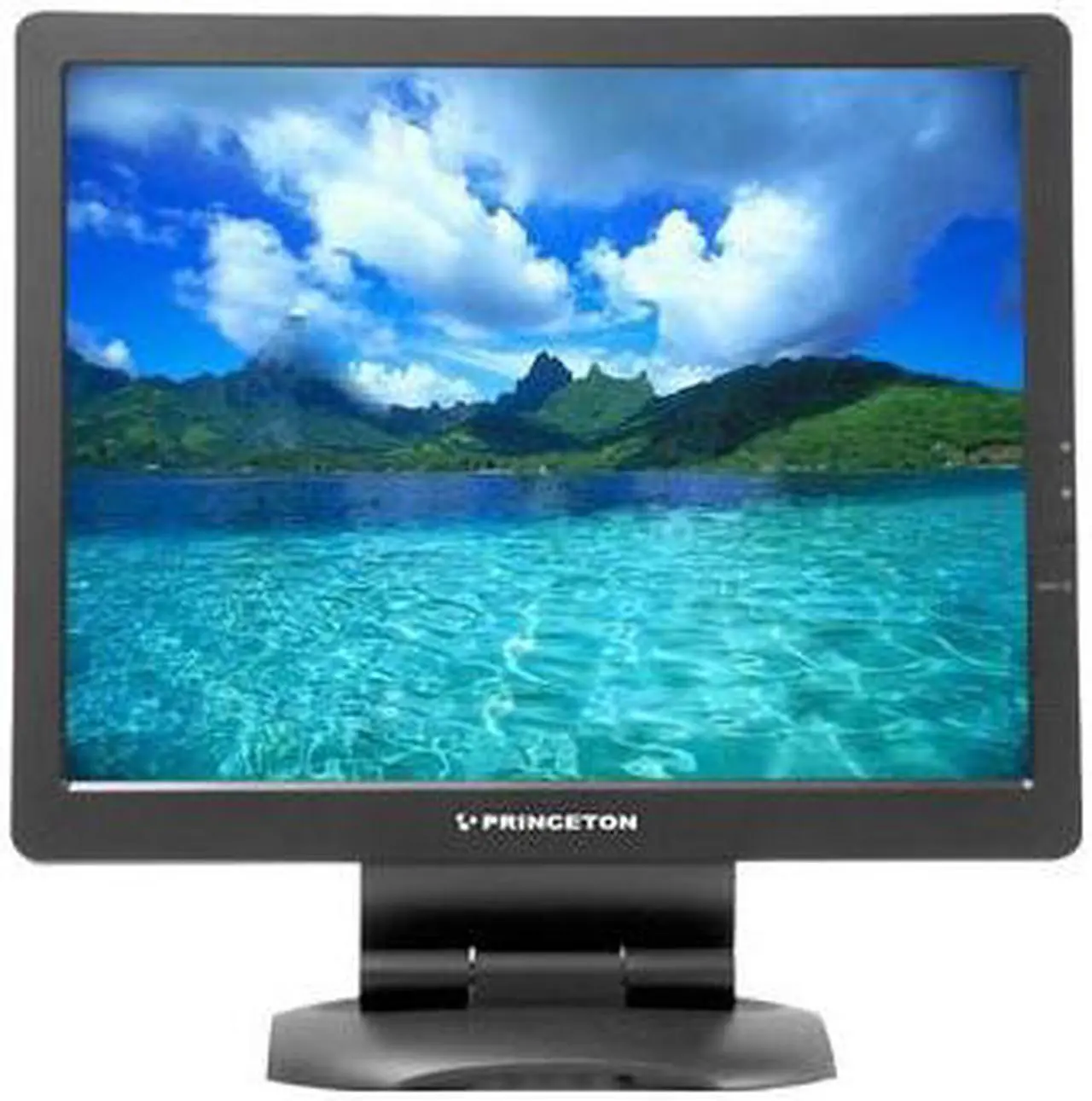 PRINCETON 15" Active Matrix, TFT LCD XGA LCD Monitor 16 ms 1024 x 768 D ...