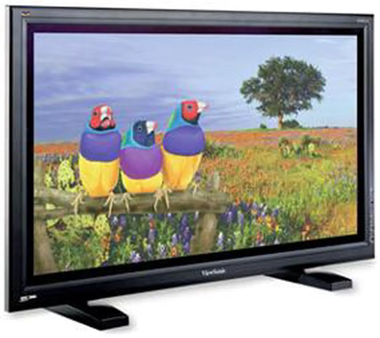 ViewSonic 42" Plasma Monitor VPW425* - Newegg.com