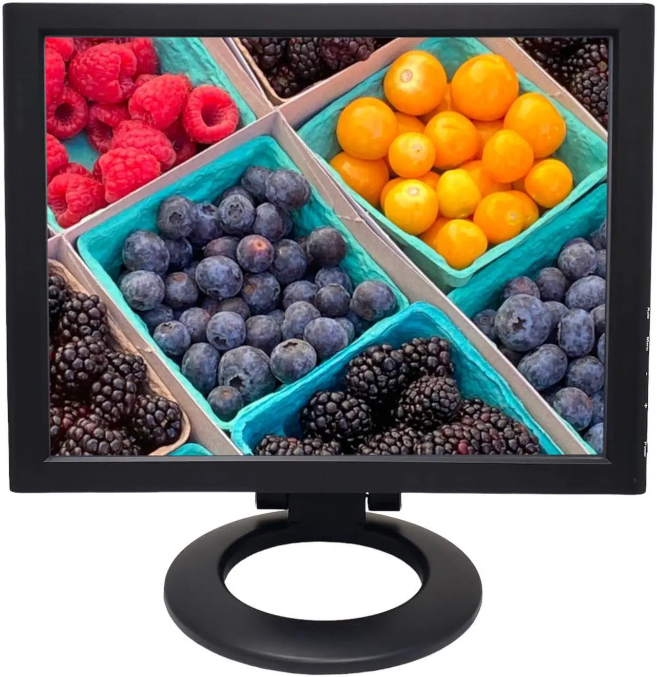 ViewEra V158TP Black 15" 5-wire Resistive Monitors - Touchscreen, 700:1 ...