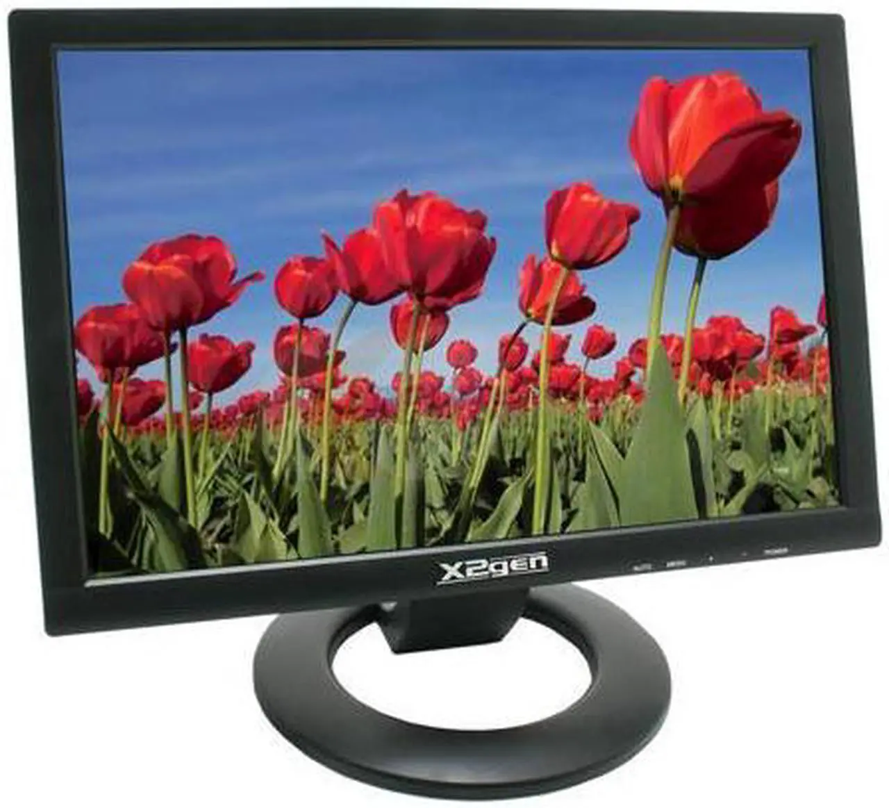 X2GEN 19" TFT LCD WXGA+ LCD Monitor 8 ms D-Sub, DVI MW19U - Newegg.com