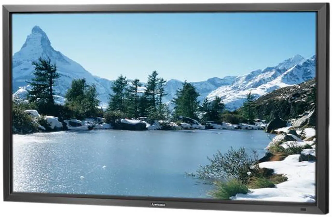 Large Format Monitor - Newegg.com