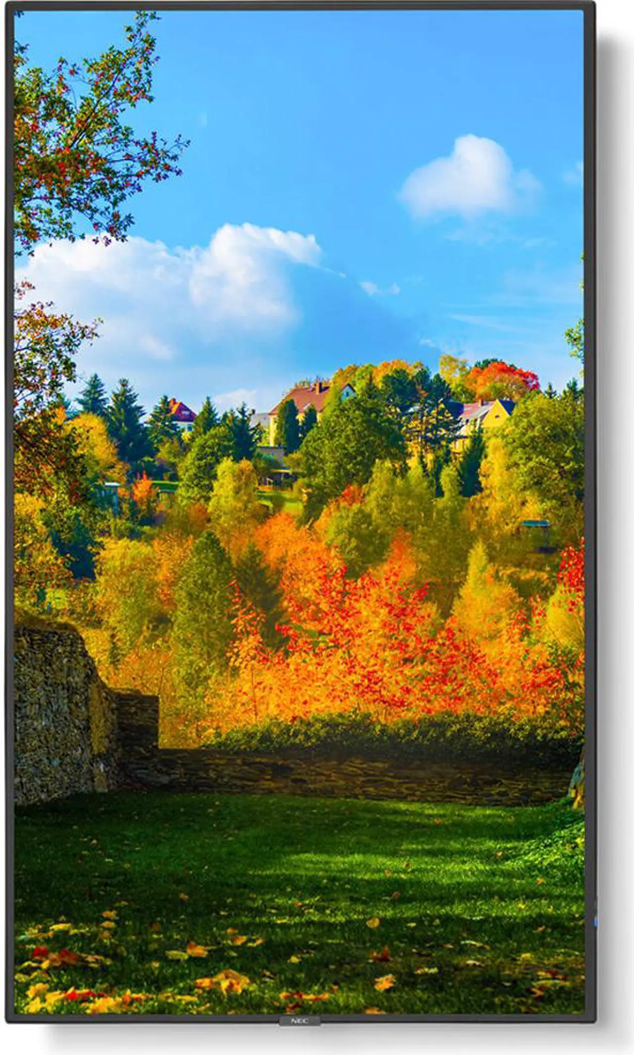 NEC MultiSync M551-MPi4E Black 55" 3840 x 2160 (4K) 1.07 Billion Colors ...