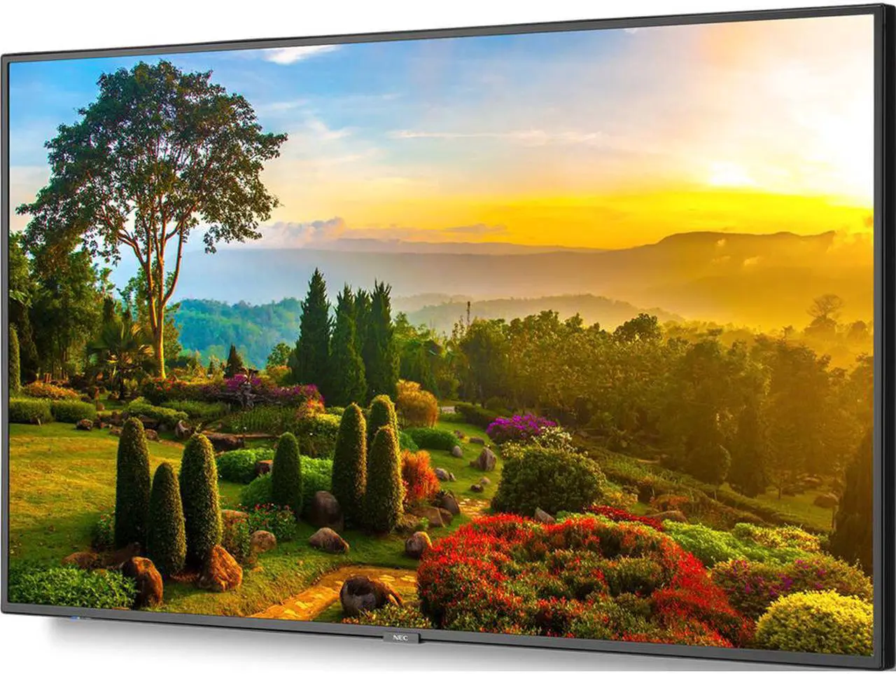 NEC MultiSync M551-PC5 Black 55" 3840 x 2160 (4K) 1.07 Billion Colors IPS Display - Newegg.com