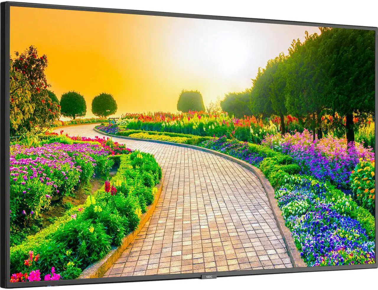 NEC MultiSync M551 with Installed PCAP Touchscreen M551-PT - Newegg.com