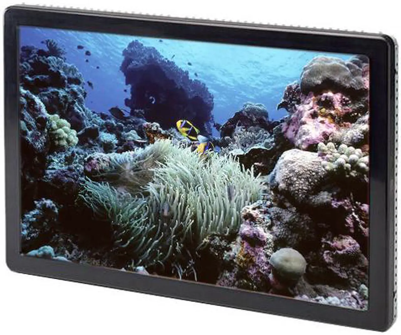 ELO TOUCHSYSTEMS 2239L (E654071) Black 22" Dual serial/USB IntelliTouch ...