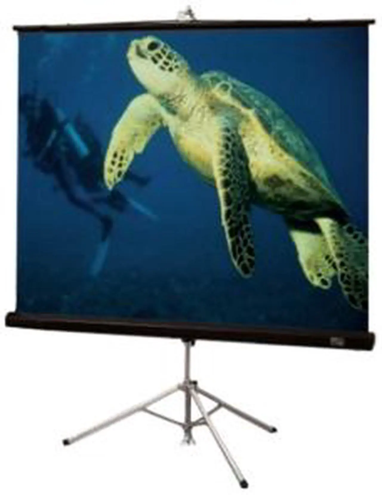 Draper Diplomat/R Tripod Projection Screen - Newegg.com