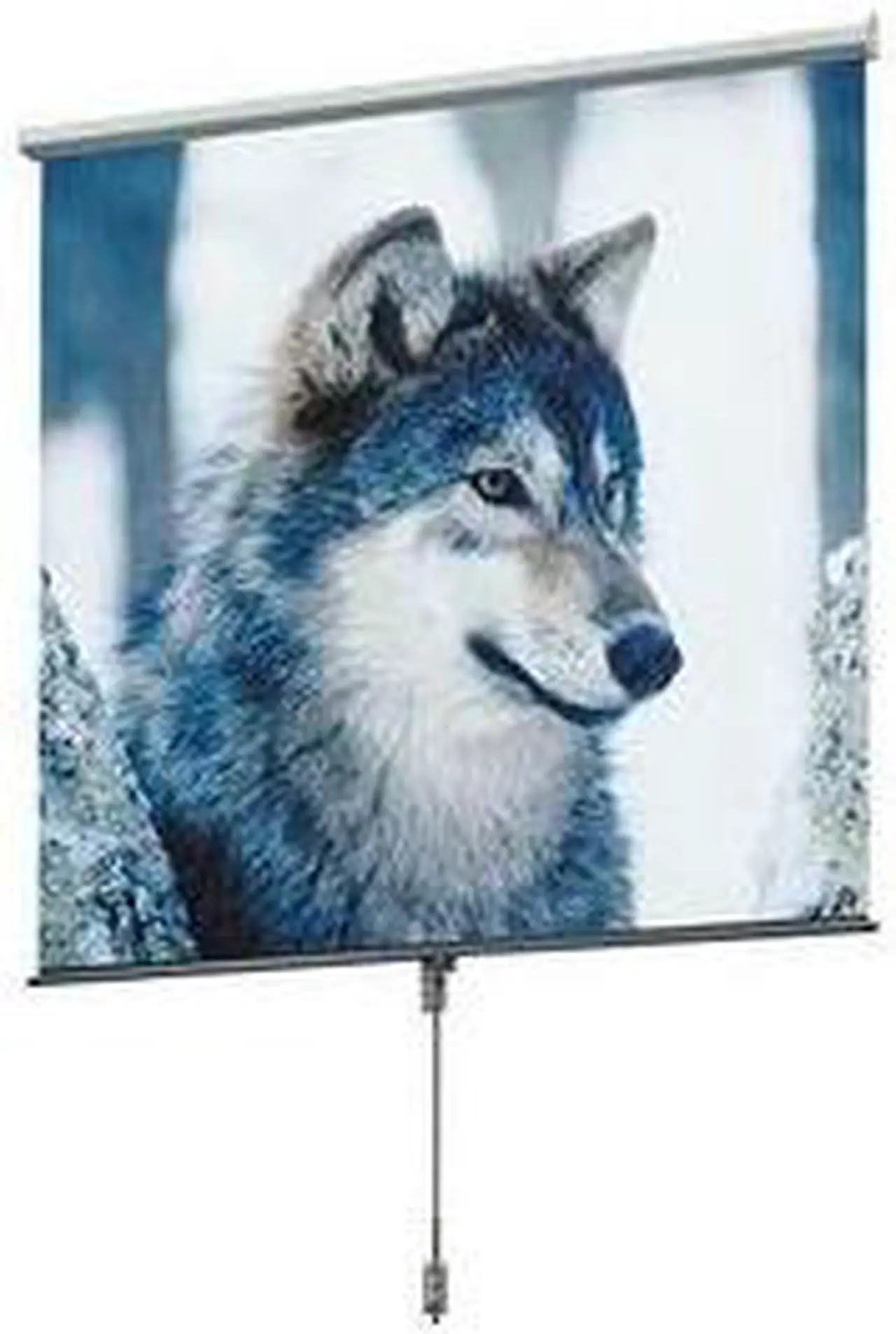 Draper Luma Manual Wall and Ceiling Projection Screen - Newegg.com