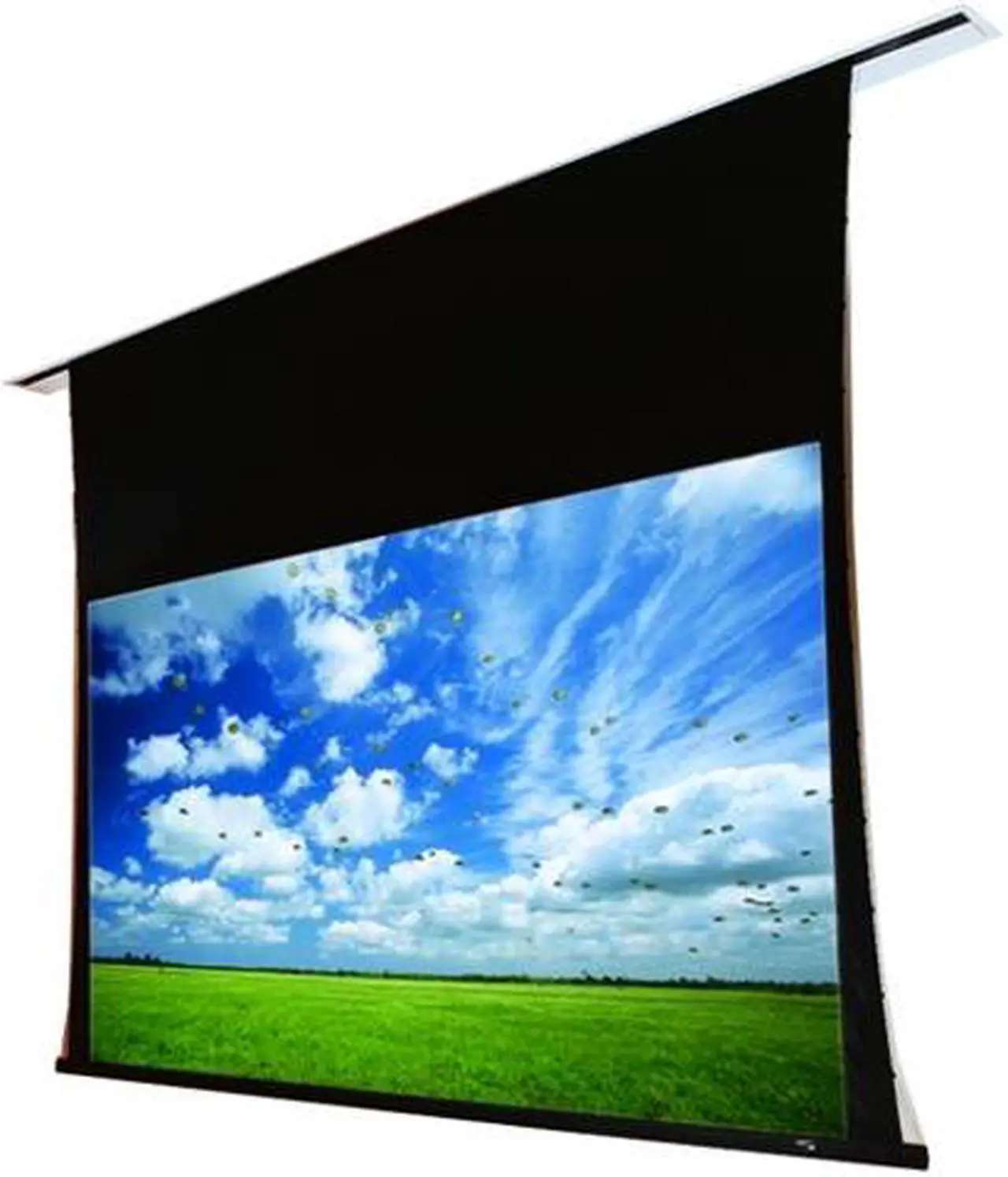 Draper Access/Series V Electric Projection Screen - Newegg.com