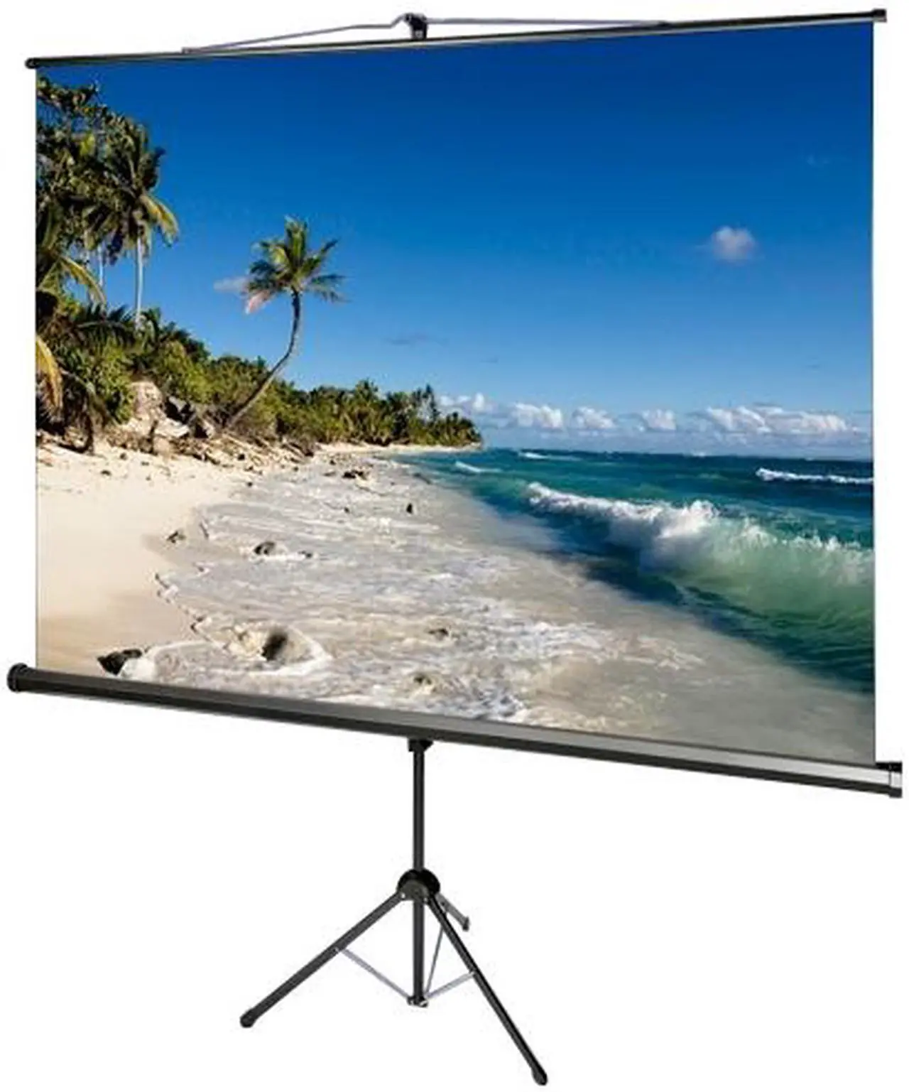 AccuScreens 800073 Projection Screen - Newegg.com