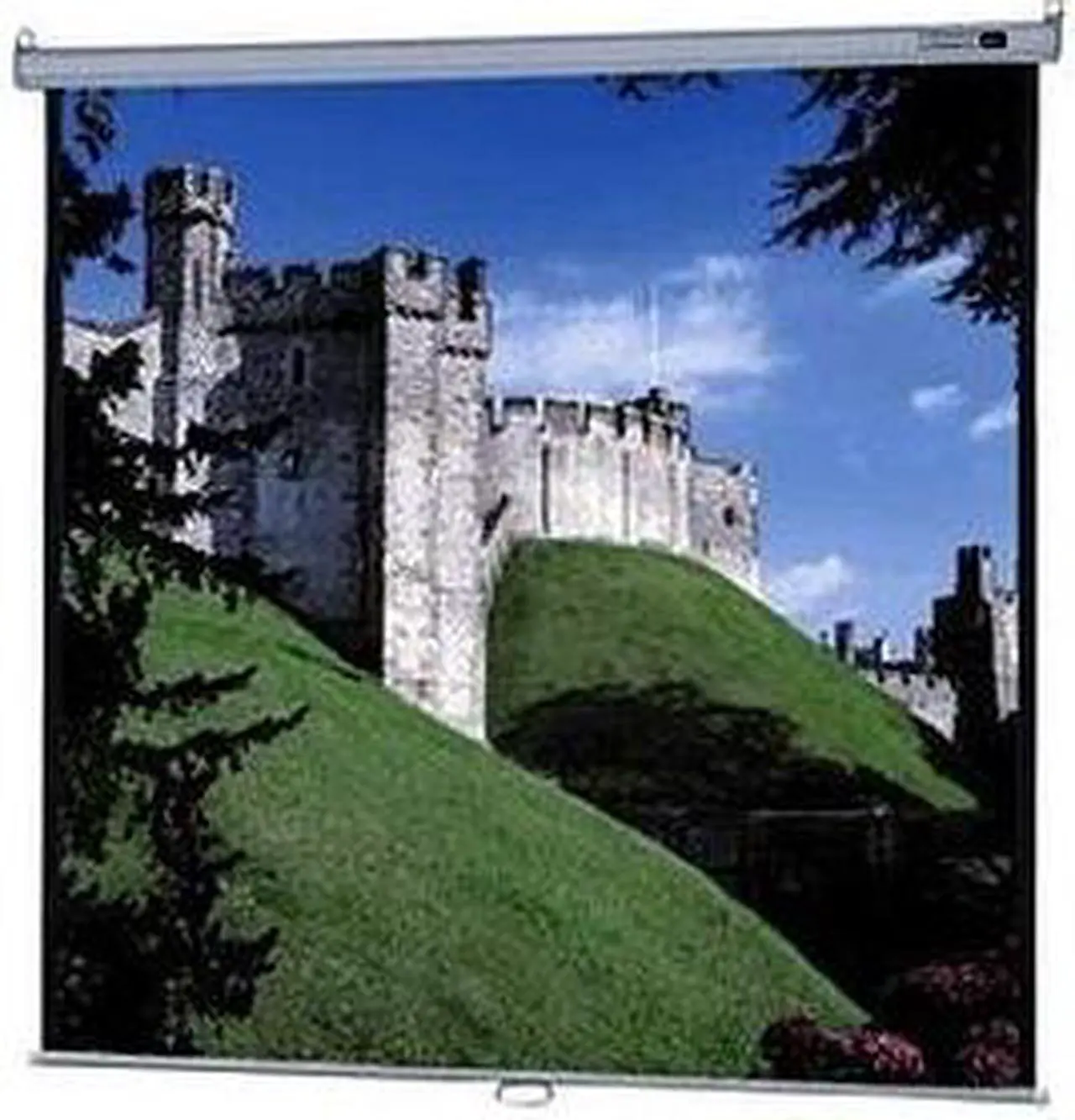 Da-Lite Model B With CSR Manual Wall and Ceiling Projection Screen ...