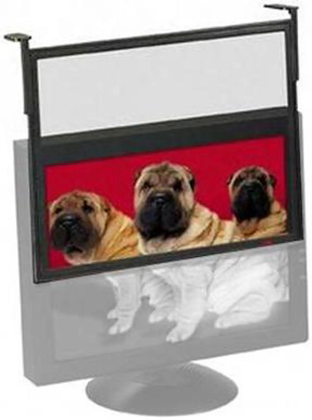 Open Box: 3M EF200XLB Anti-Glare/Radiation Computer Filter, Black Frame ...