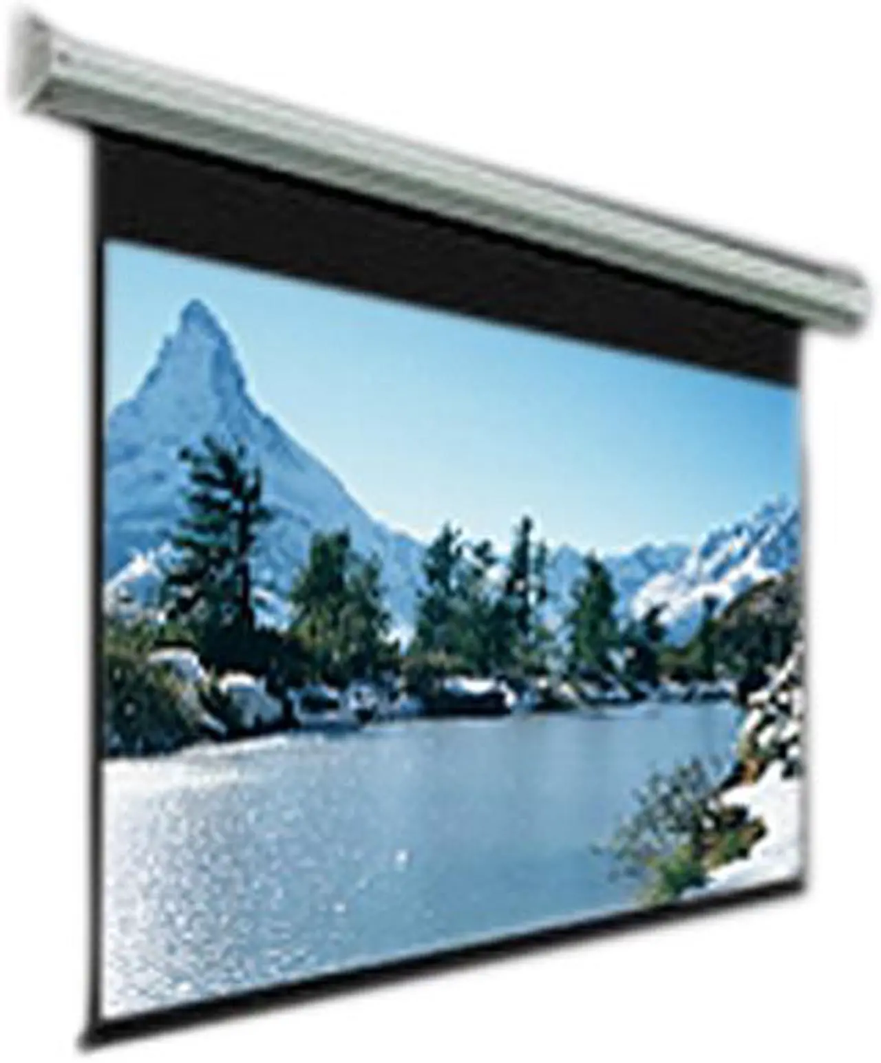 inland ProHT 84" Electric Projection Screen 05354 - Newegg.com