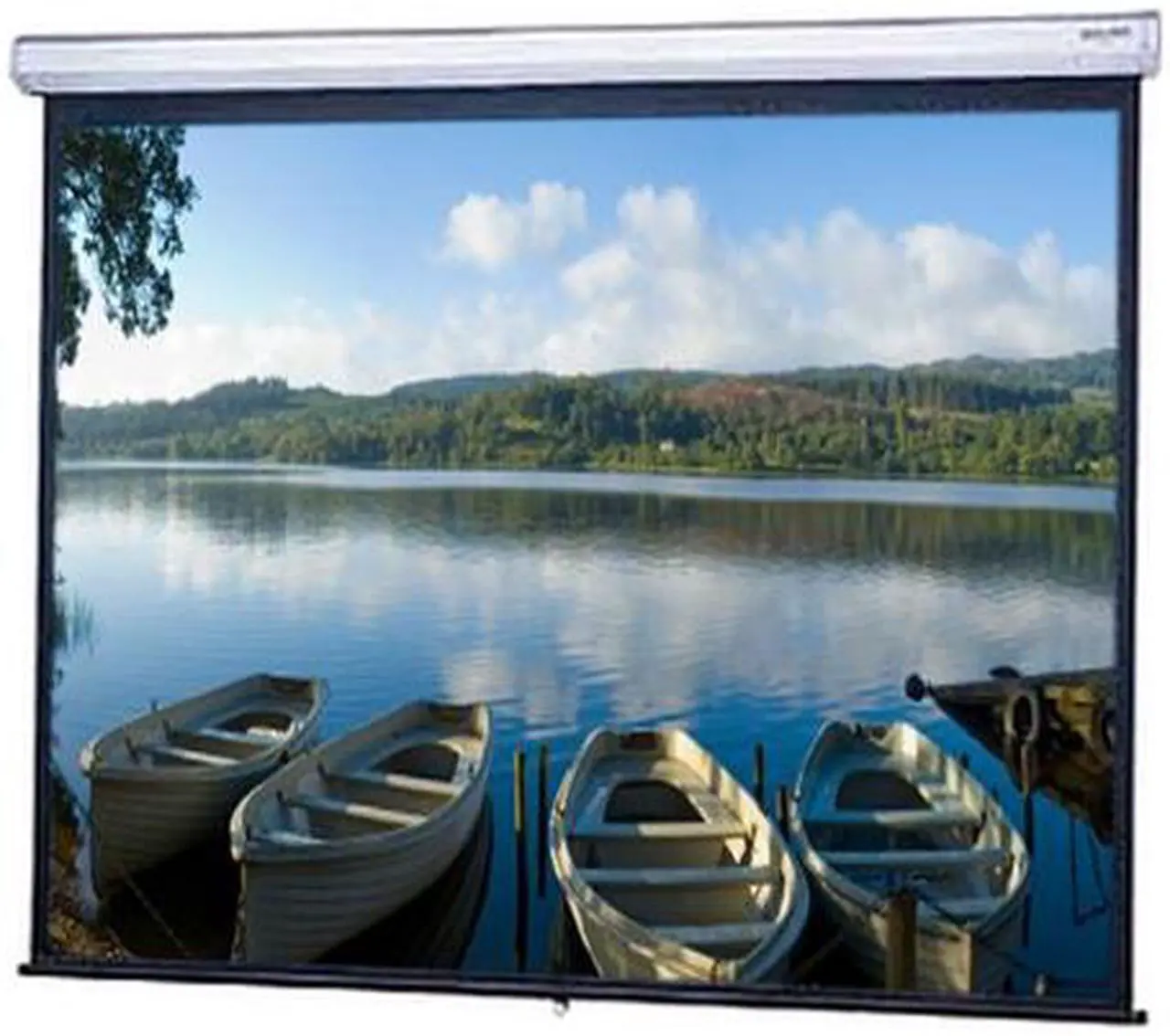 DA-LITE 40273 Model-C Pull Down Manual Screen 10' x 10' Matte White ...