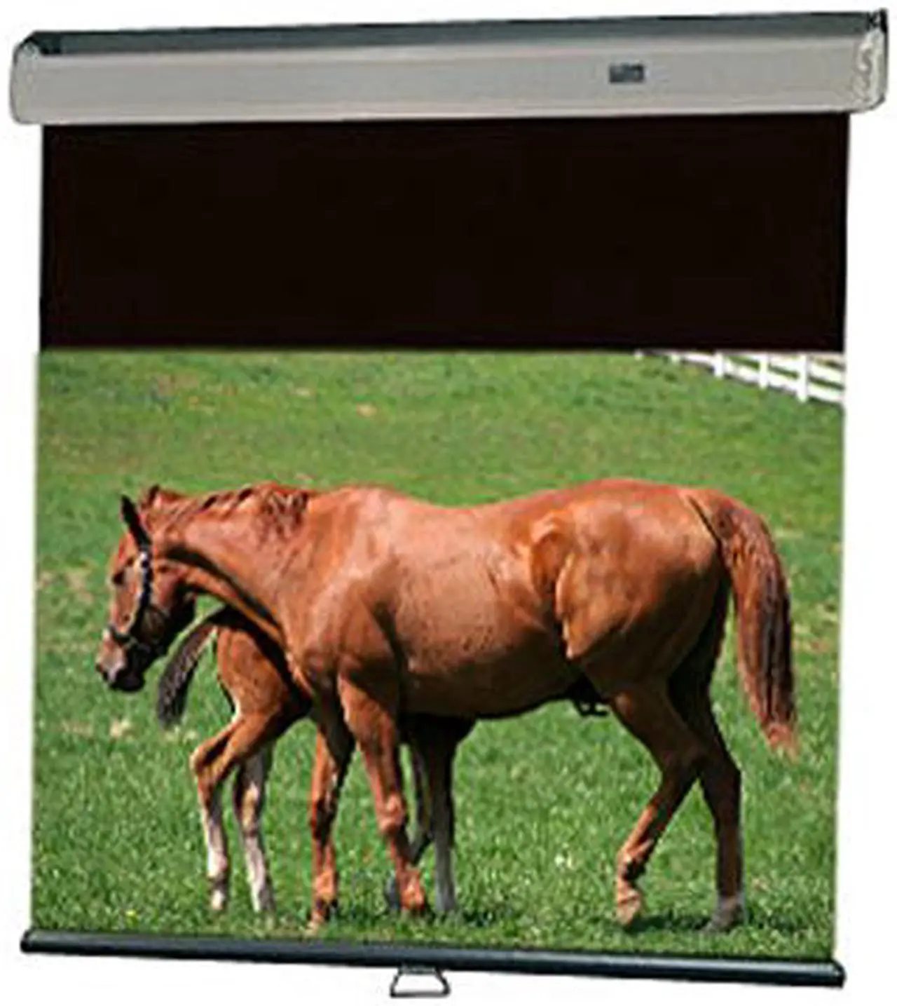 Draper Luma 2 Heavy-duty Wall or Ceiling Projection Screen - Newegg.com