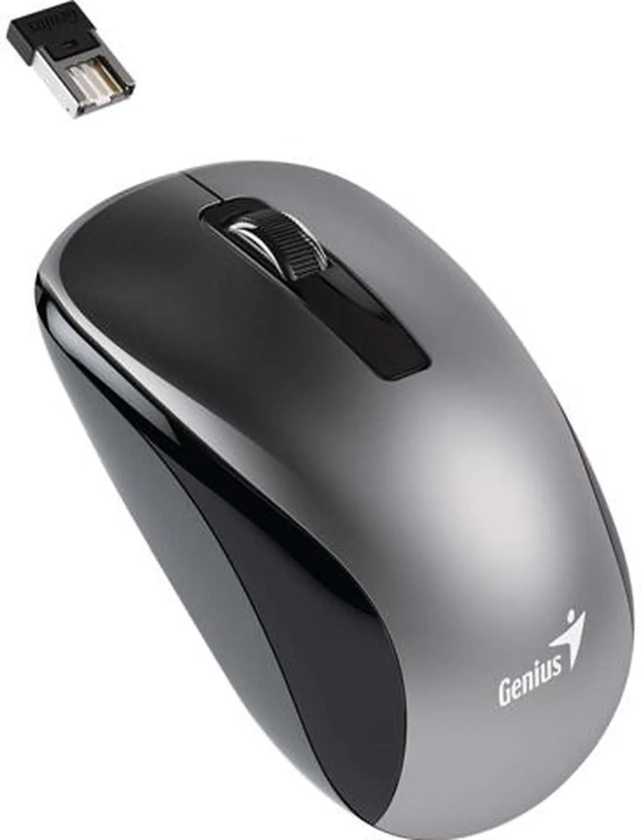 Genius NX-7010 31030114100 Gray RF Wireless BlueEye Mouse - Newegg.com