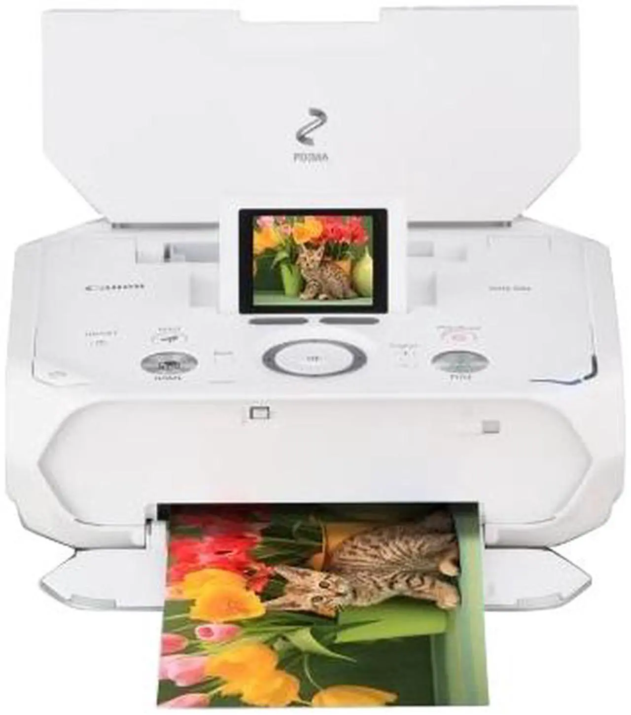 Canon PIXMA mini320 2172B002 9600 x 2400 dpi InkJet Photo Color Printer ...