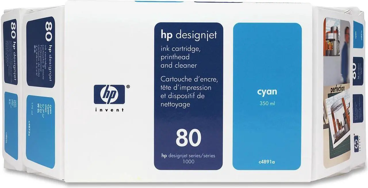 HP 80 Cyan Ink Cartridge and Printhead Value Pack (C4891A) - Newegg.com
