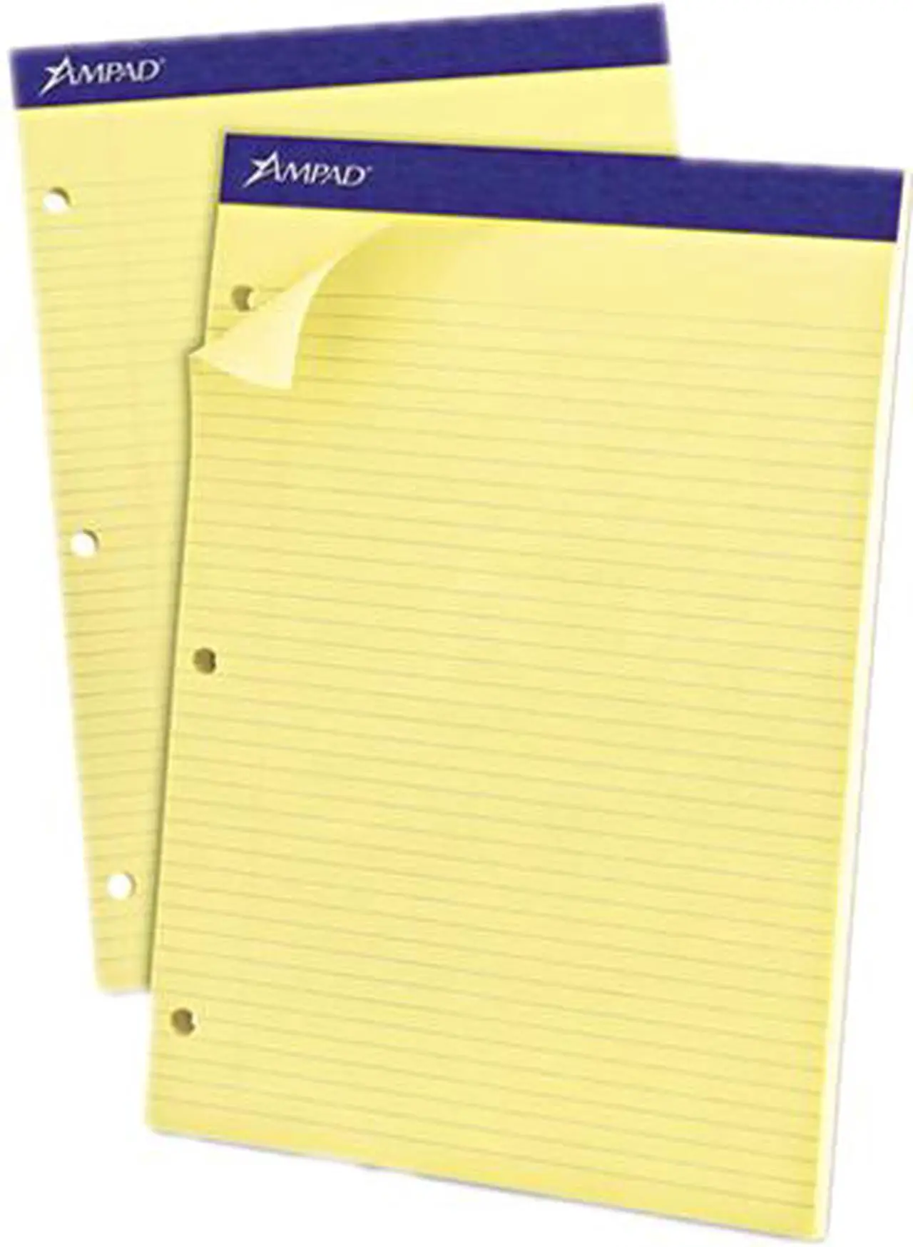 Ampad 20-246 Evidence Dual Rule Narrow/Margin Pad, 8-1/2 x 11-3/4 ...
