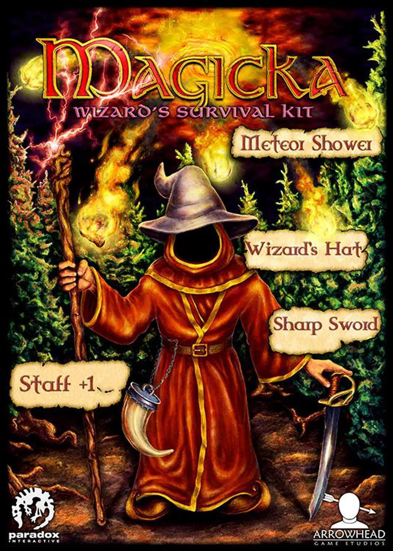 Magicka DLC: Wizard's Survival Kit [Online Game Code] - Newegg.com