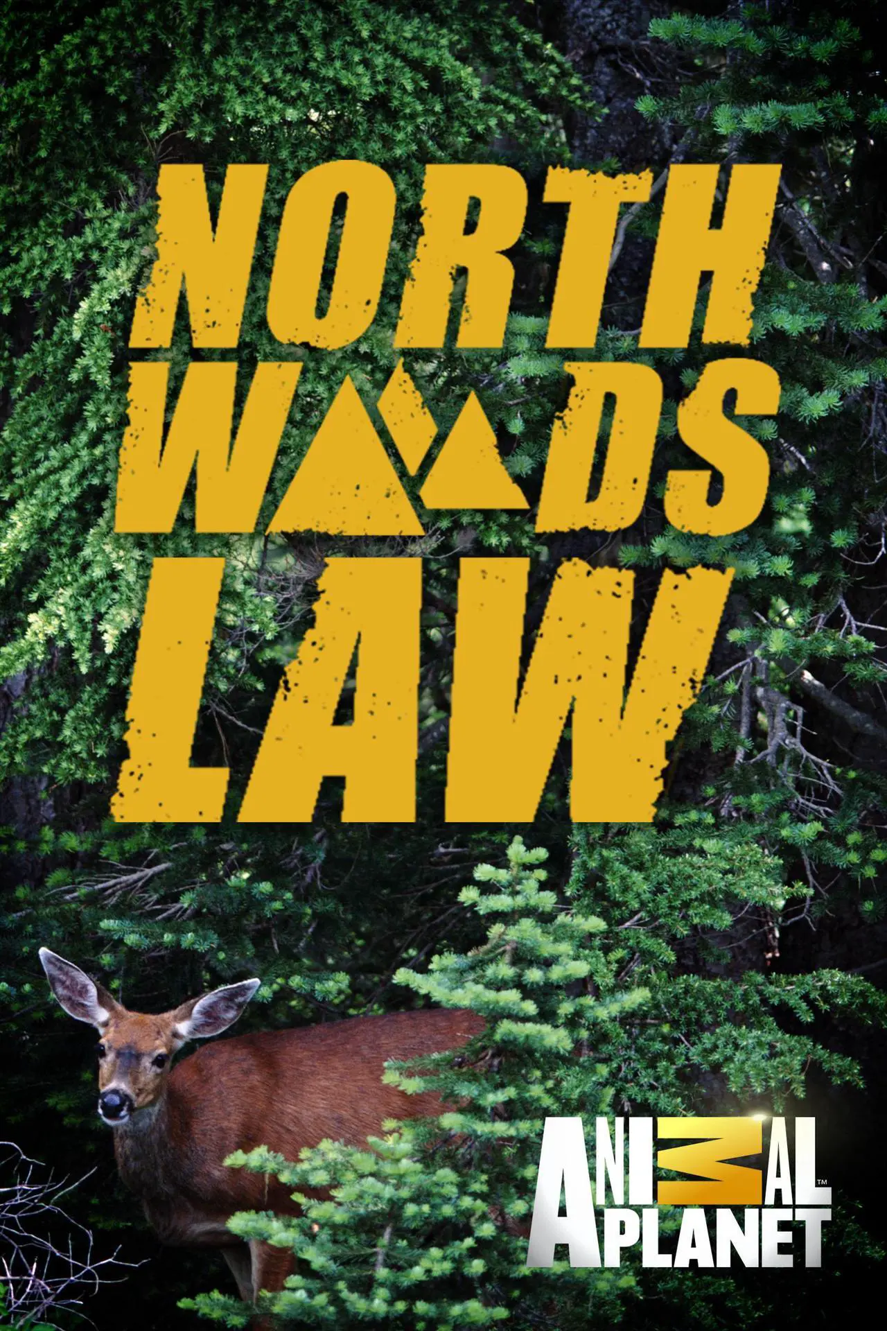 North Woods Law: Season 7 Episode 6 - The Big Bad Woods [HD] [Buy ...