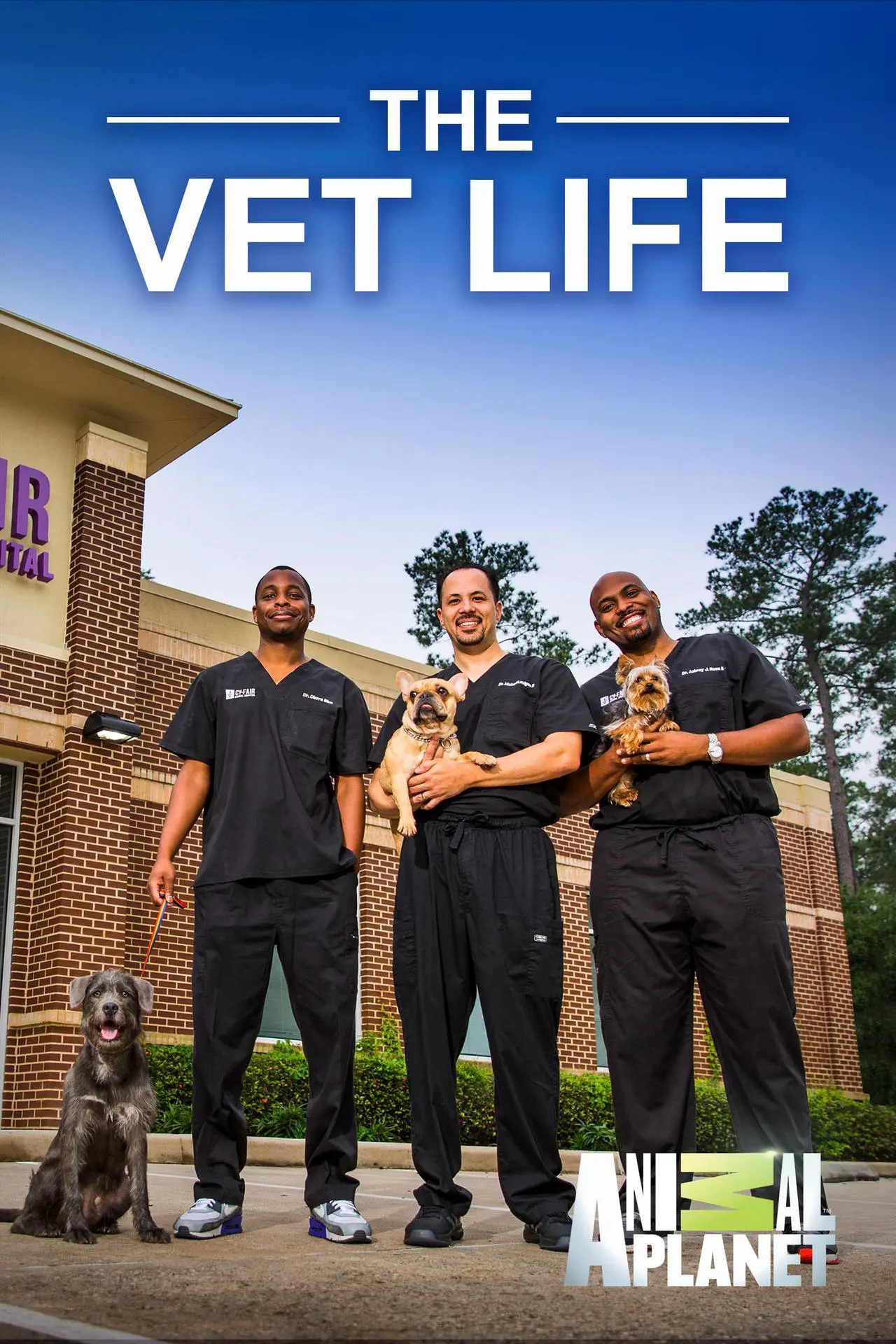 The Vet Life: Season 1 Episode 6 - Hope for Hoppy [HD] [Buy] - Newegg.com