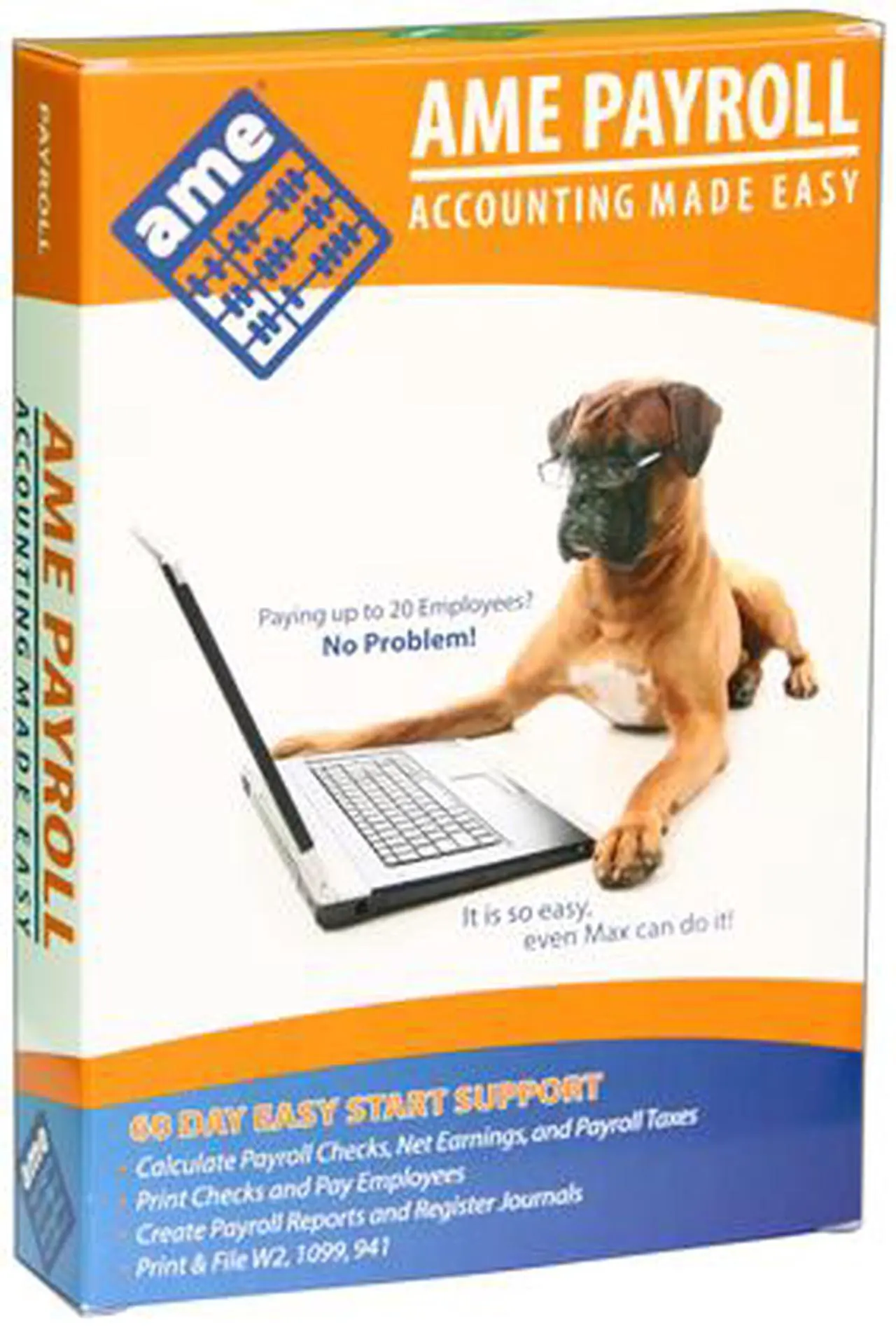 AME Small Business Accounting - Newegg.com