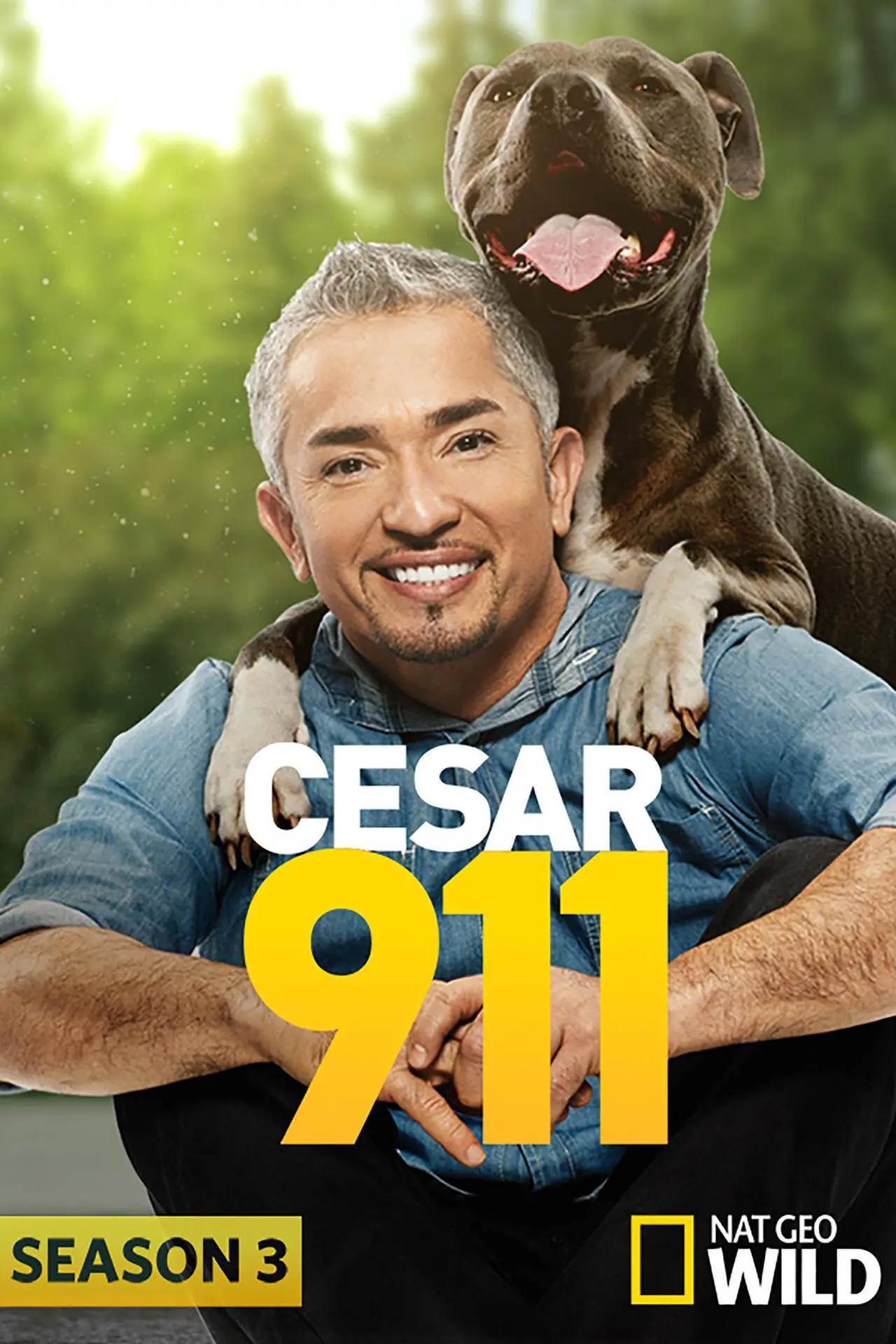 Cesar 911: Season 3 Episode 1 - The Seinfeld Episode [HD] [Buy ...
