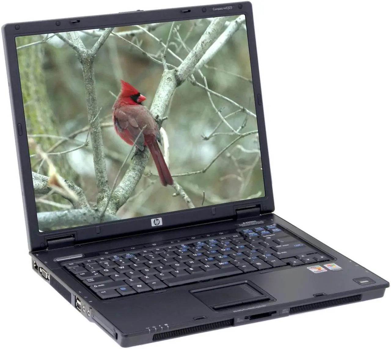 HP Compaq Laptop nx Series AMD Turion 64 X2 TL-50 1GB Memory 100GB HDD ...