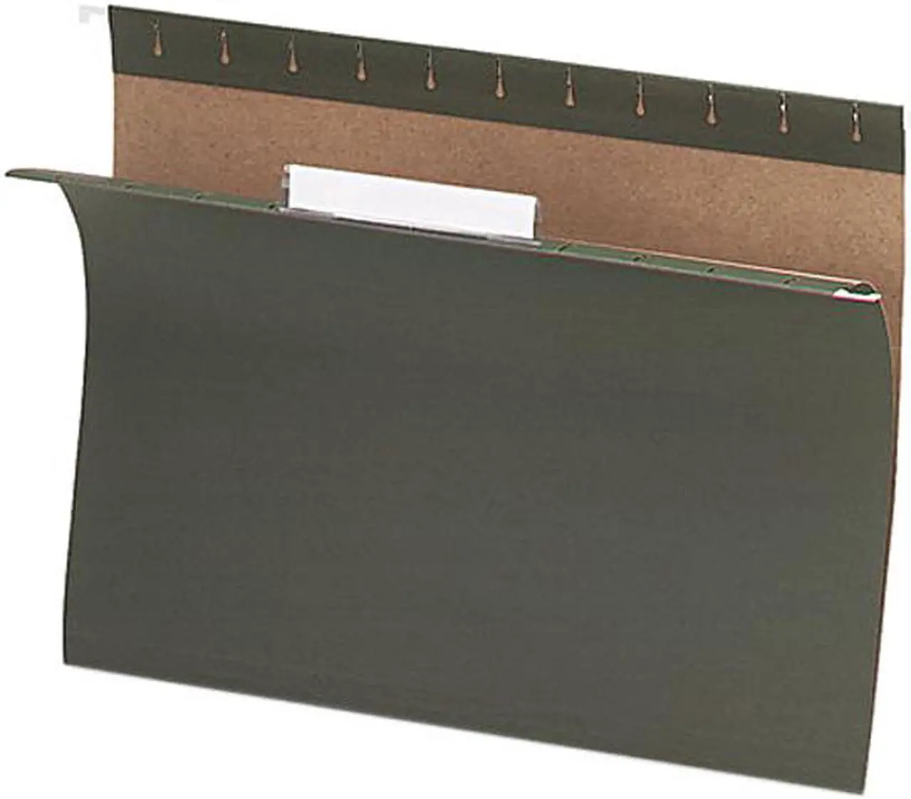 Pendaflex 81601 Hanging File Folders, 1/3 Tab, Letter, Standard Green ...