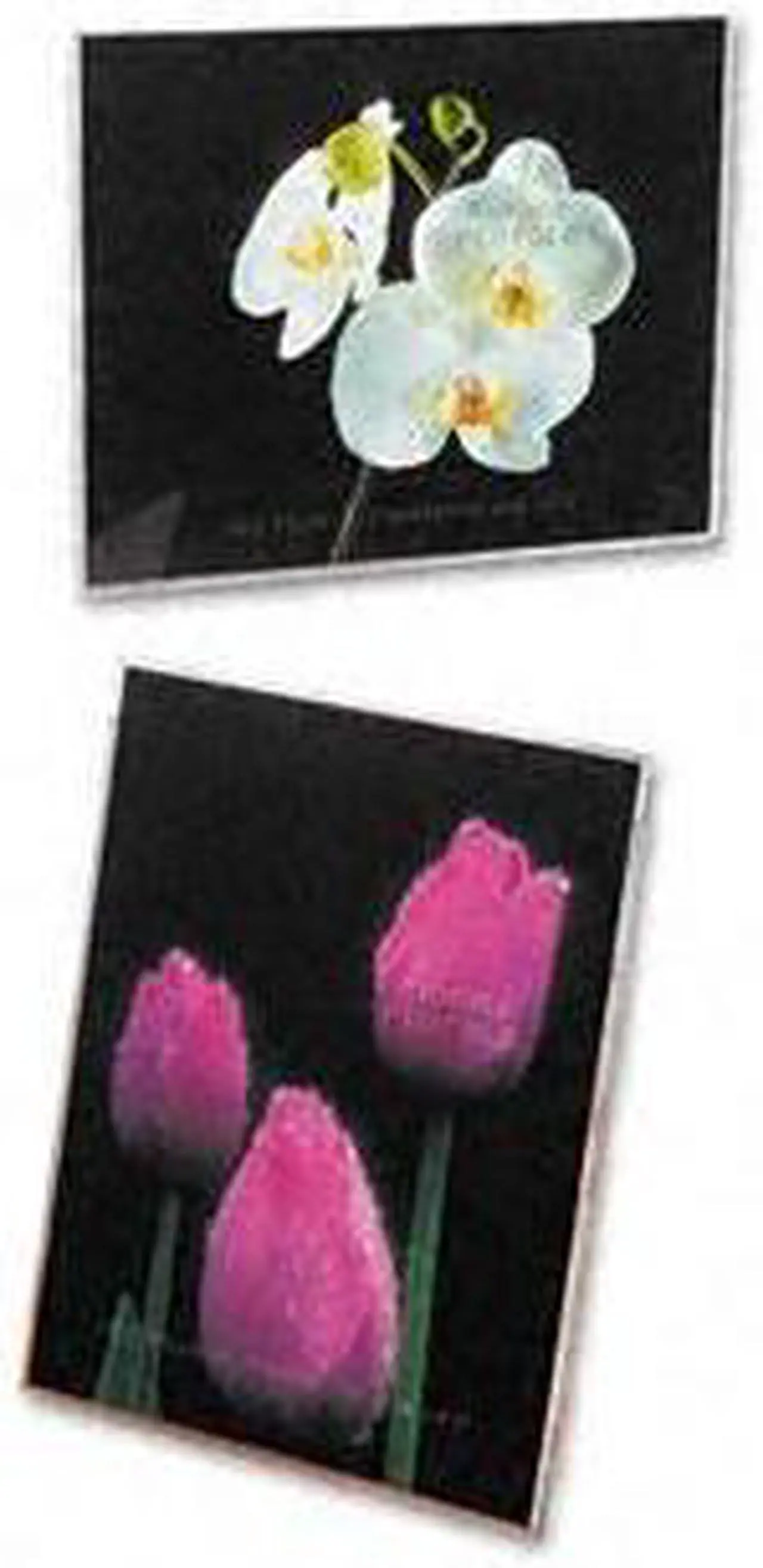 deflect-o 57190301 Superior Image Float-A-Sign 4-in-1 Holder, Plastic ...