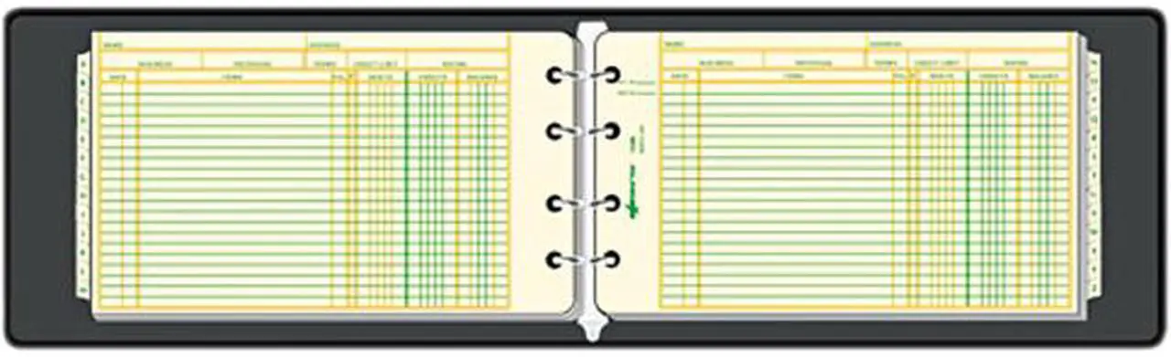 National Brand 63-453 Four-Ring Ledger Binder Kit, 100 Ledger Sheets, 8 ...