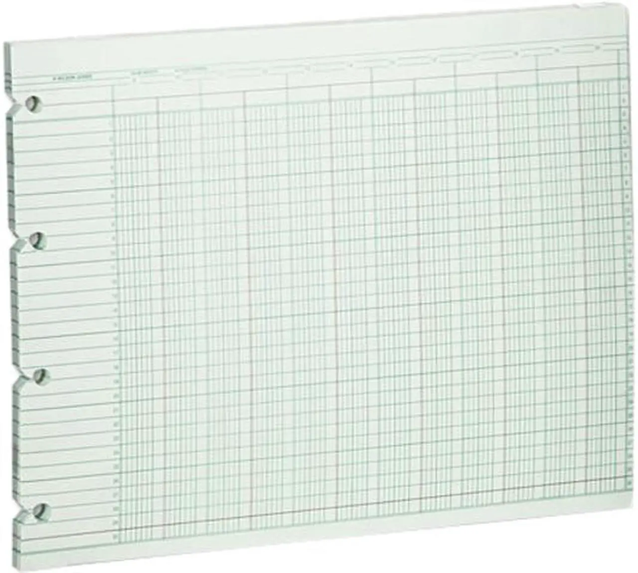 Wilson Jones G10-20 Accounting Sheets, 20 Column, 9-1/4 x 11-7/8, 100 ...