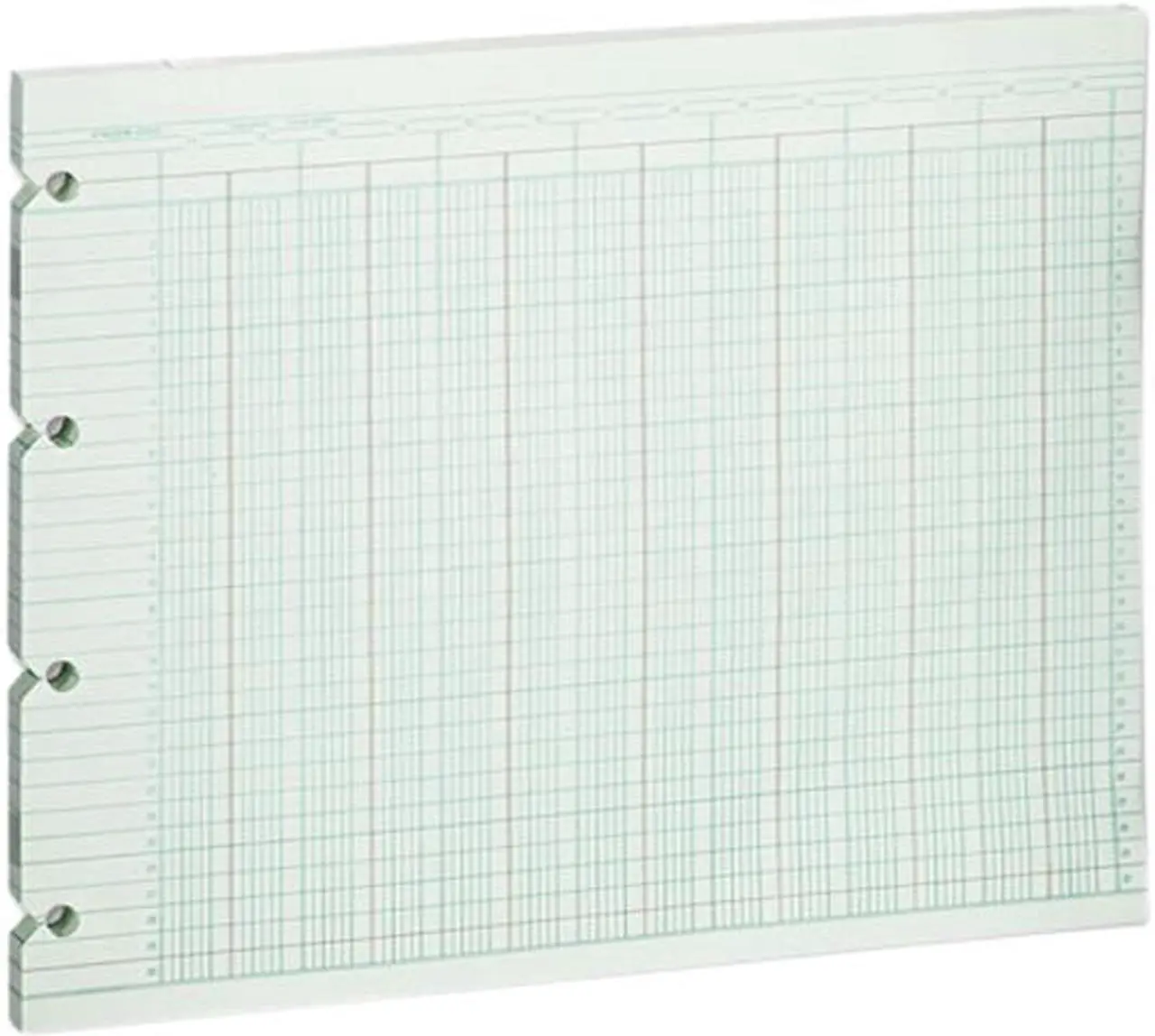 Wilson Jones G10-24 Accounting Sheets, 24 Column, 9-1/4 x 11-7/8, 100 ...