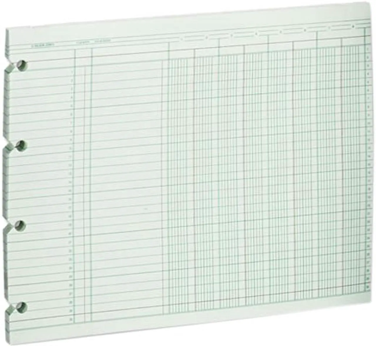 Wilson Jones G10-8 Accounting Sheets, Eight Column, 9-1/4 x 11-7/8, 100 ...