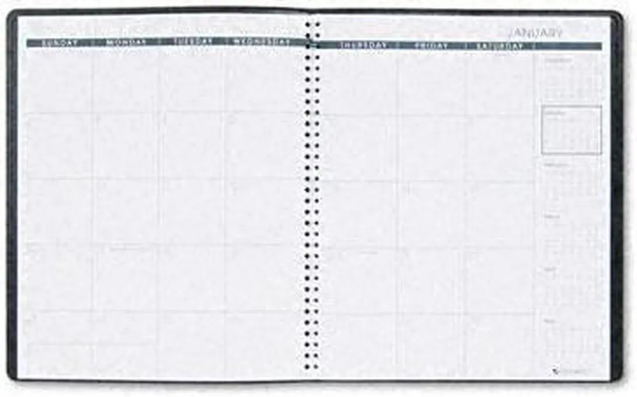 AT-A-GLANCE 70-260-05 Monthly Planner, 8 7/8 x 11, Black, 2016-2017 ...