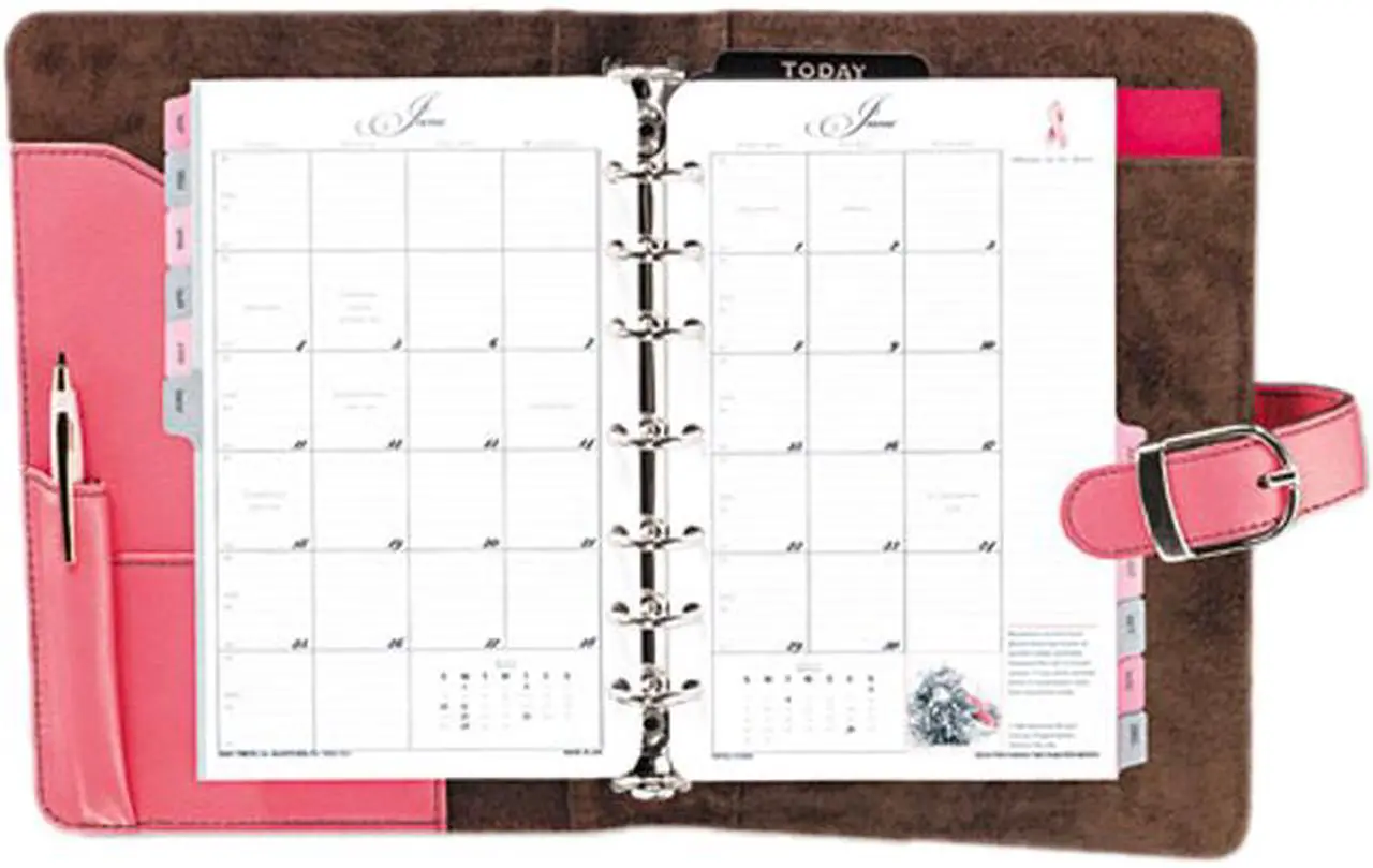 Day-Timer 48434 Pink Ribbon Organizer Starter Set w/Leather Binder, 5-1 ...