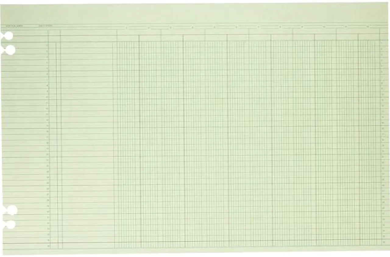 Wilson Jones WG50-12A Accounting Sheets, 12 Columns, 11" x 17", 100 ...