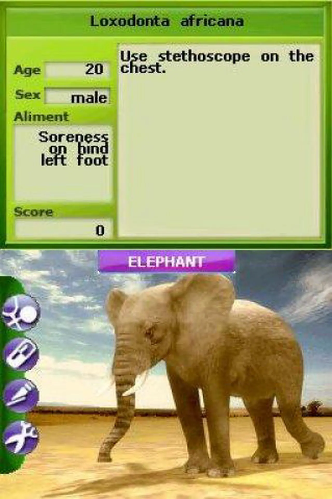 Zoo Vet: Endangered Animals Nintendo DS Game - Newegg.com