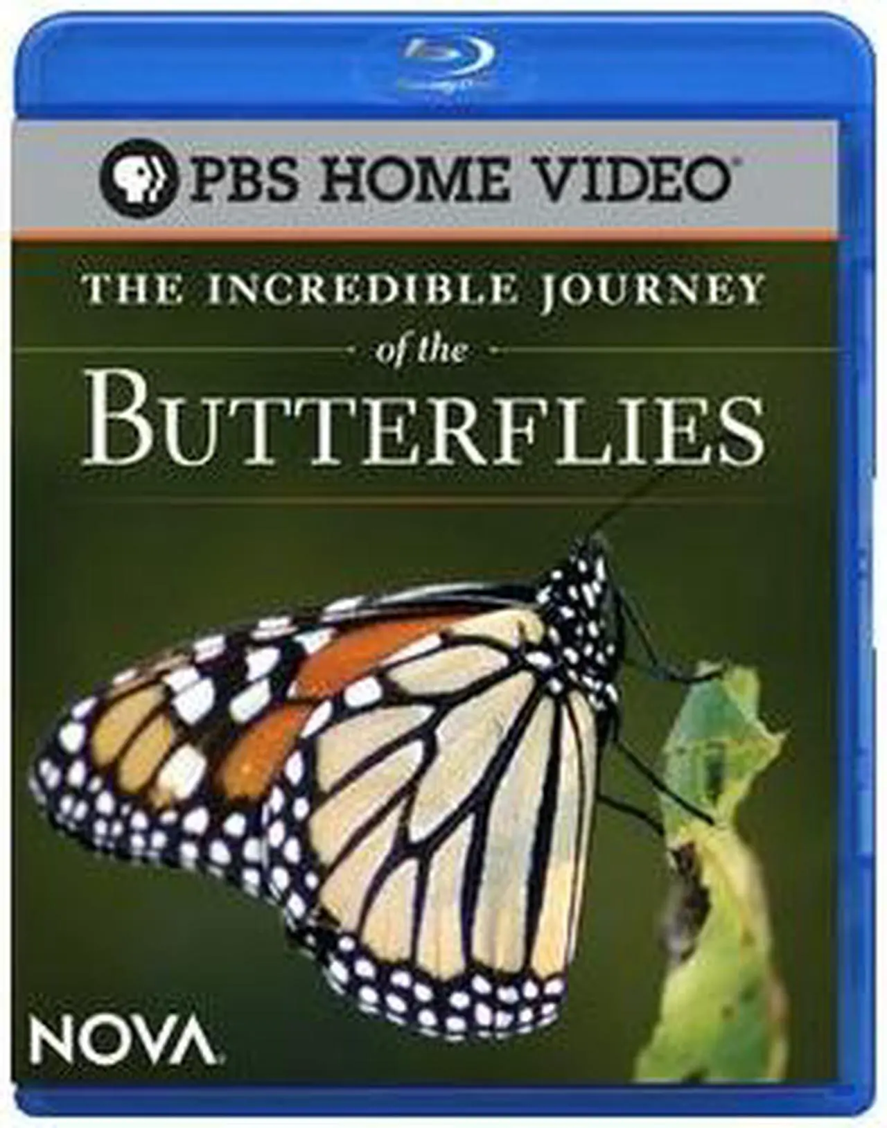 Nova: The Incredible Journey of the Butterflies - Newegg.com