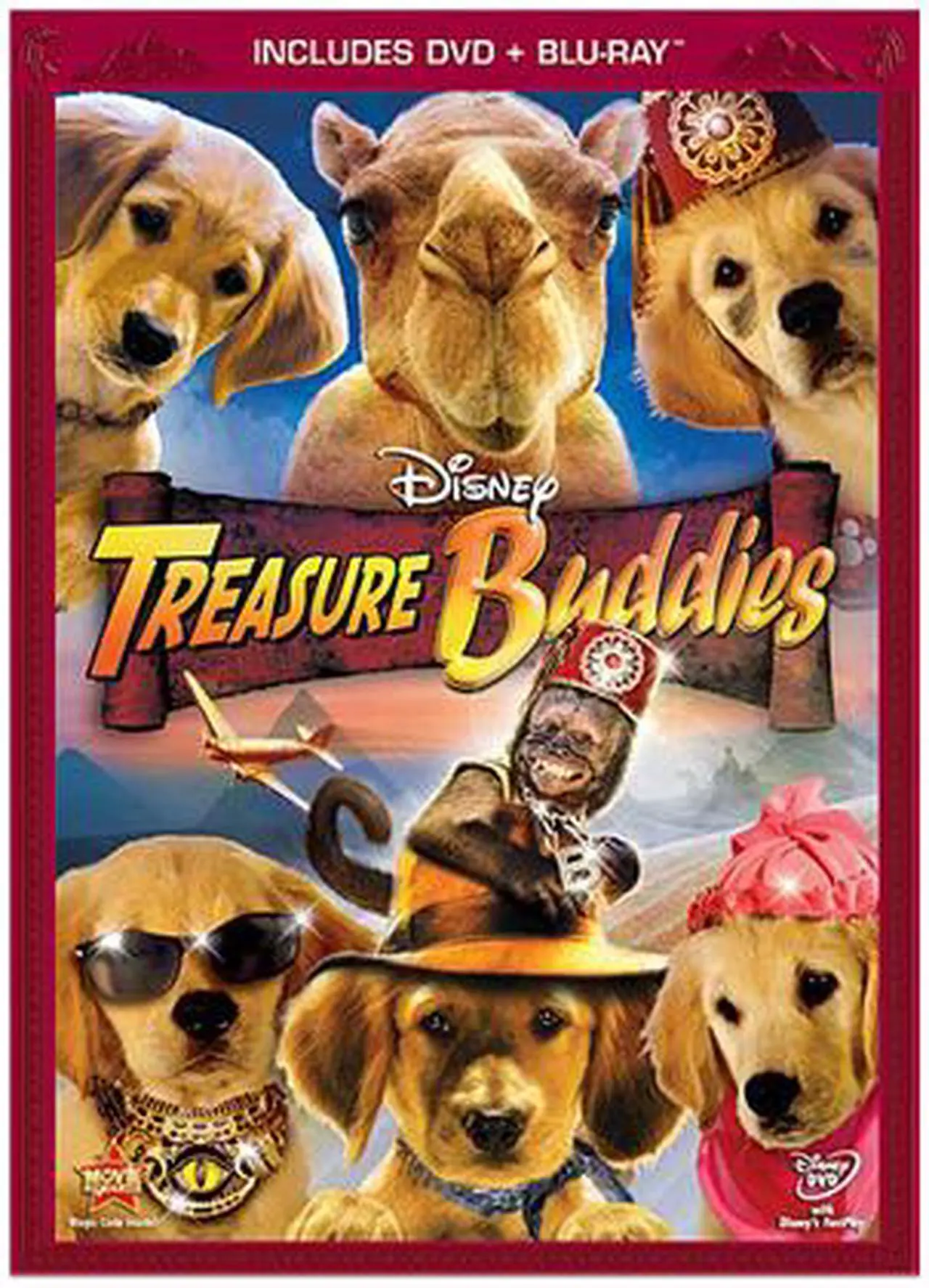 Treasure Buddies (DVD + Blu-ray/WS) - Newegg.com