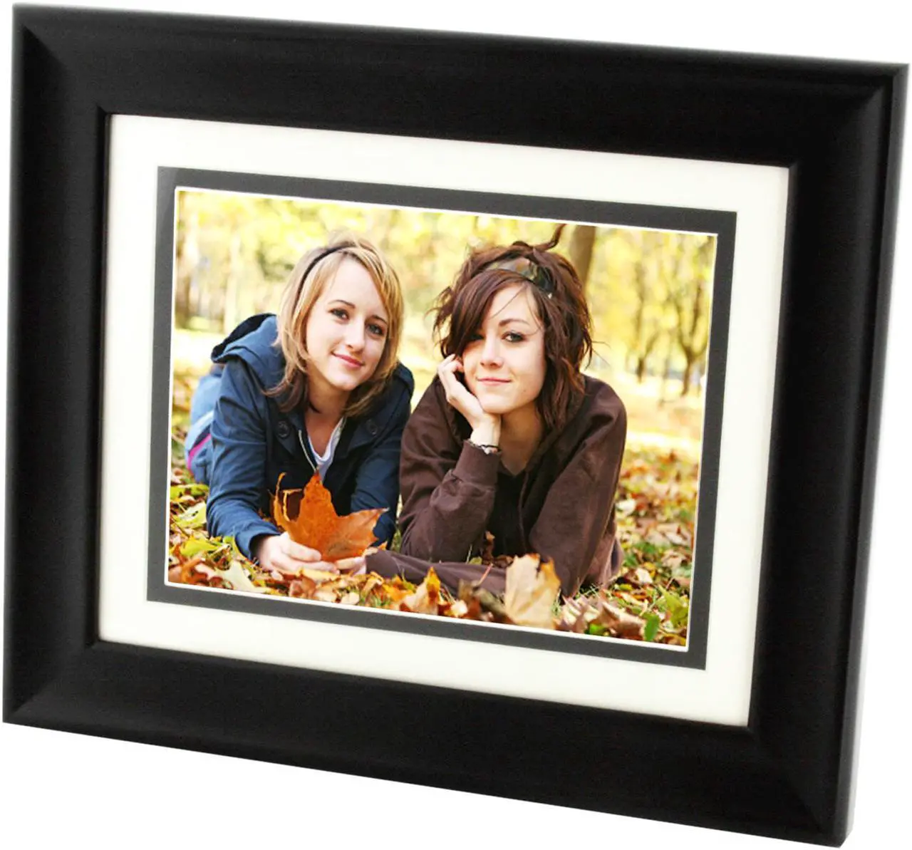 HP DF820A3 8" 800 x 600 8" 800 x 600 Digital Picture Frame - Newegg.com